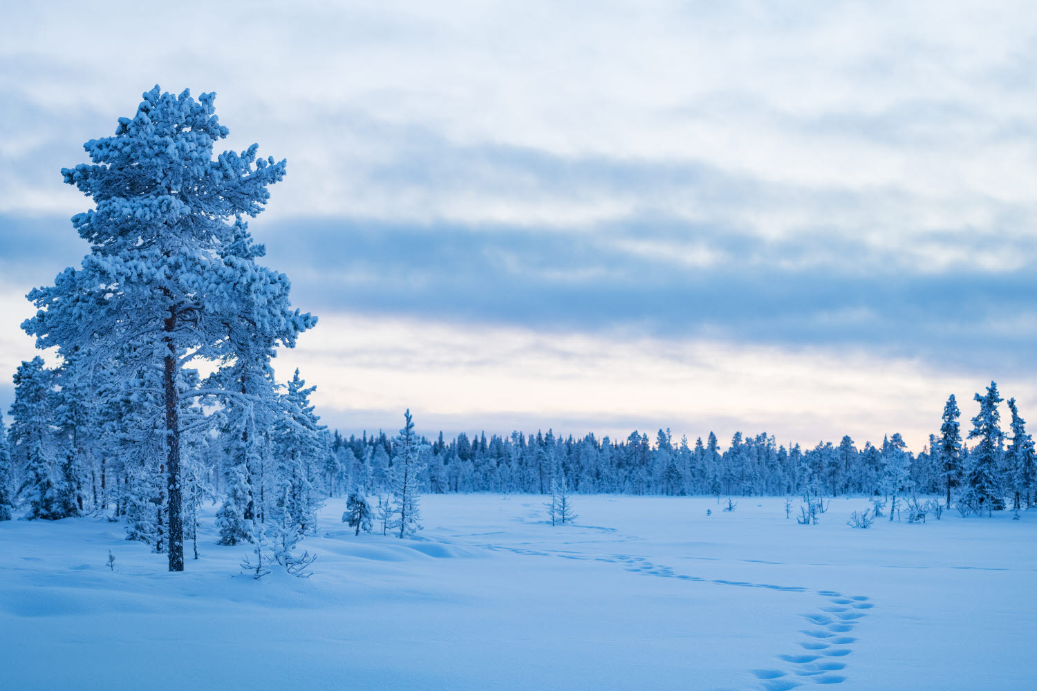 Bostäder & lokaler i Göteborg, Stockholm & Uppsala-Wallenstam