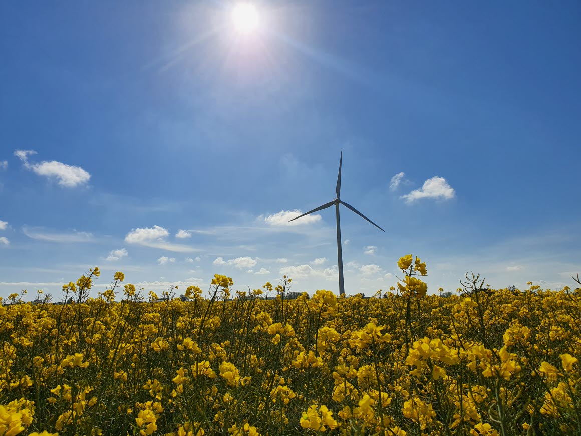 Bostäder & lokaler i Göteborg, Stockholm & Uppsala-Wallenstam