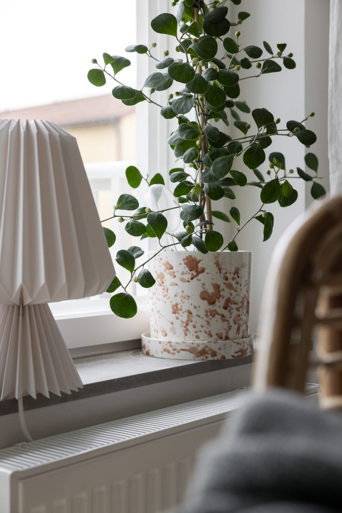 Bostäder & lokaler i Göteborg, Stockholm & Uppsala-Wallenstam