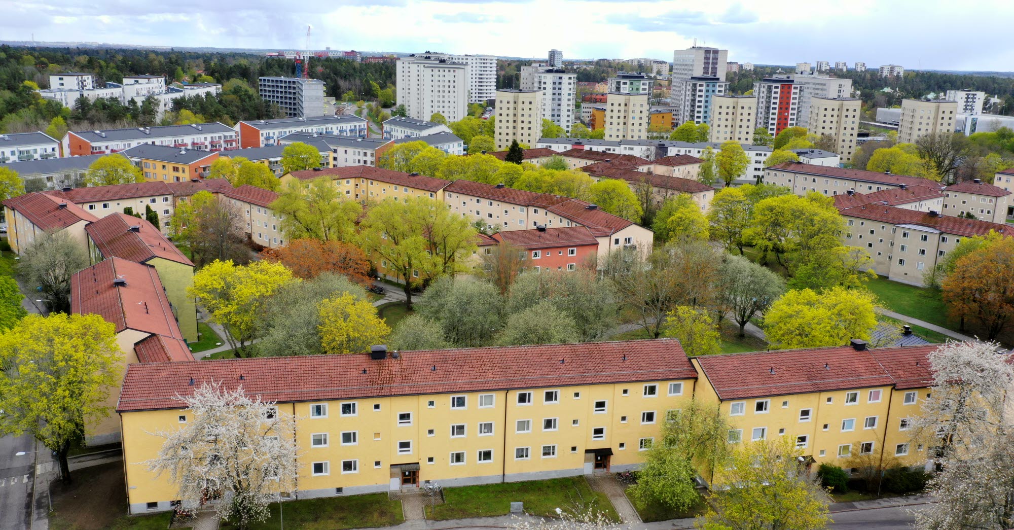 Råcksta - Wallenstam